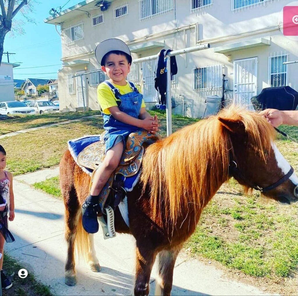 Pony Rental for Kids Events in Dubai | Al Tilal Pony Rental